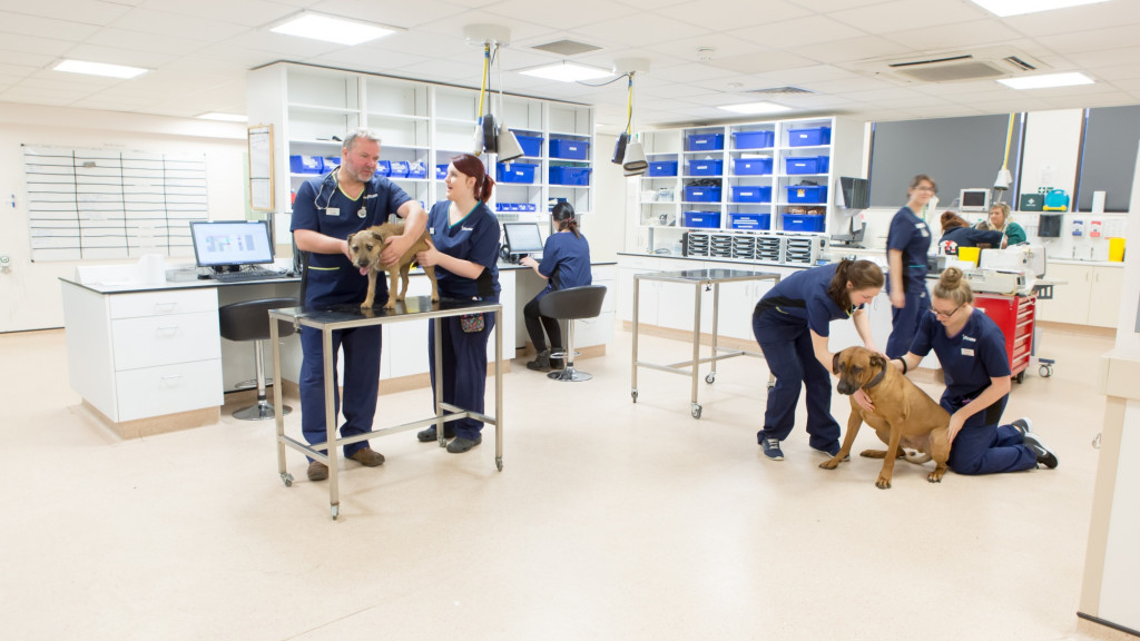 Vets Now Manchester | 24 Hour Pet Emergency Hospital | Vets Now