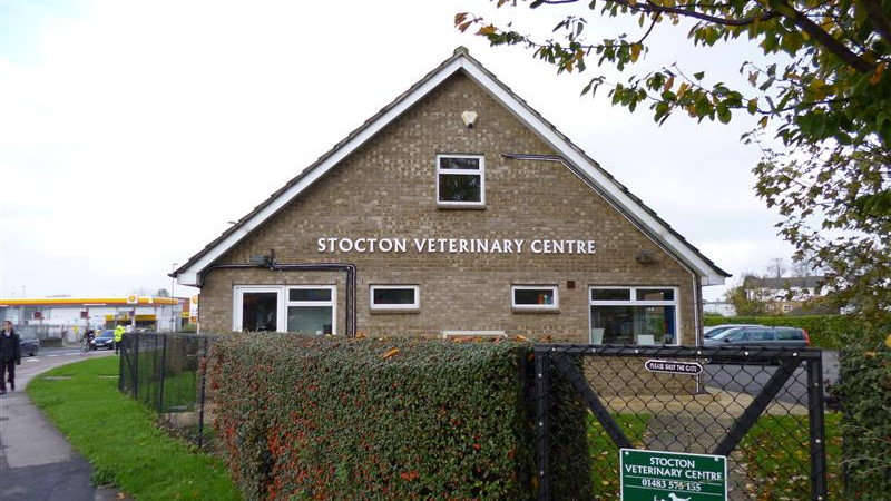 Emergency Vet Guildford | Out Of Hours Pet Care - Vets Now