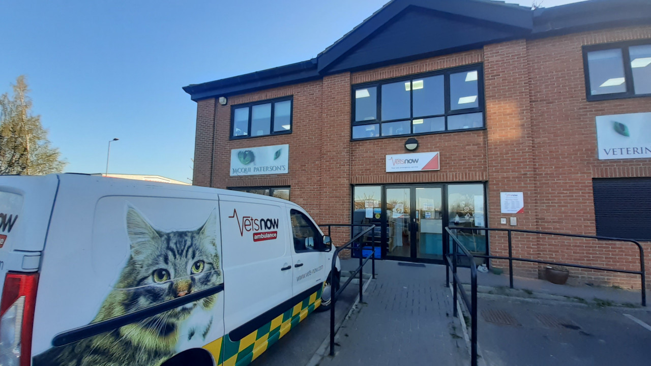 Emergency Vet Middlesbrough | Out Of Hours Pet Care