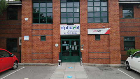 Emergency Vet Newport | 24hr Pet Emergency Hospital | Vets Now