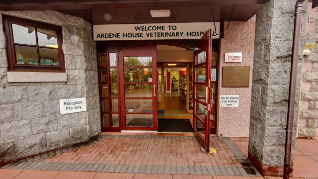 Emergency Vet Aberdeen | Out Of Hours Pet Care - Vets Now