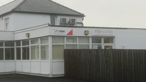 Emergency Vet Preston | Out Of Hours Pet Care - Vets Now