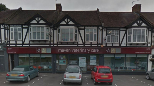 Emergency Vet Sutton | Vet Near Me Open Nights, Saturday & Sunday