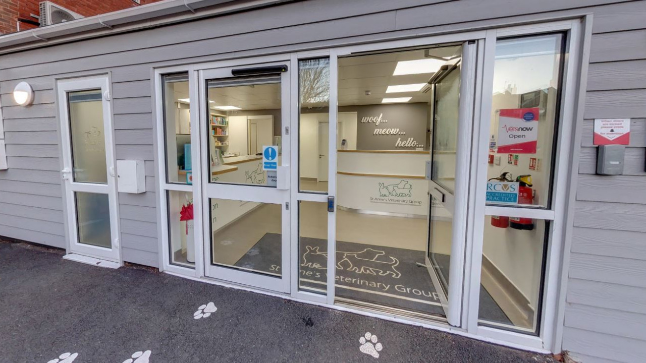 Emergency Vet Eastbourne | Out Of Hours Pet Care - Vets Now