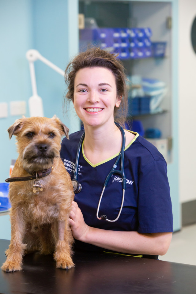 About Us | Emergency Veterinary Care For Pets | Vets Now