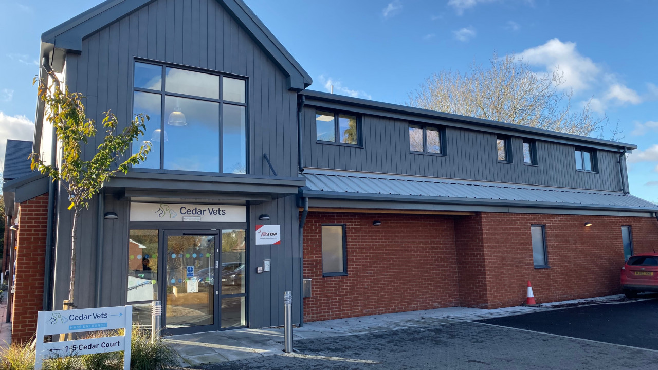 Emergency Vet Near You in Winchester | Out Of Hours Pet Care