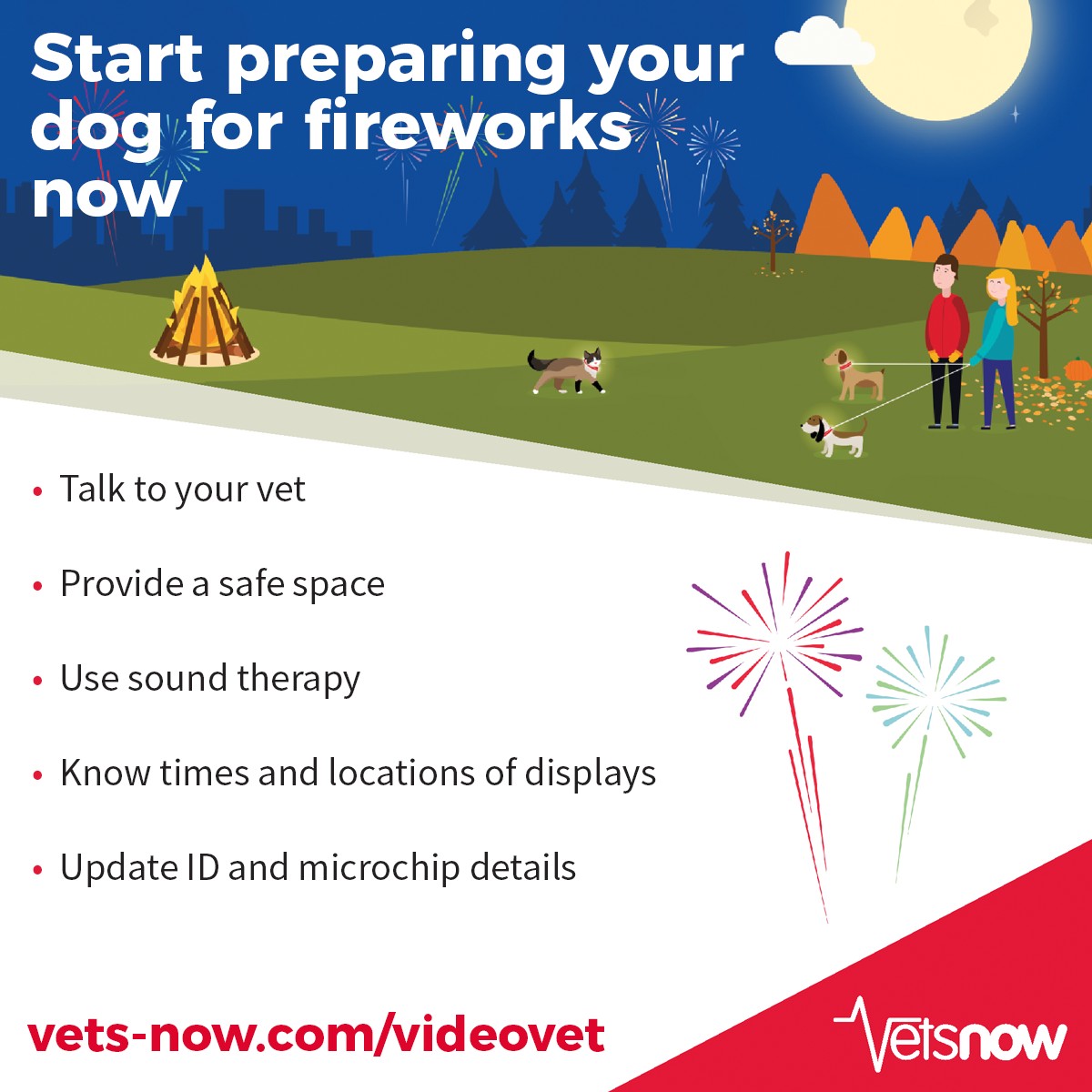 How to get dogs used to fireworks | Dog firework preparation