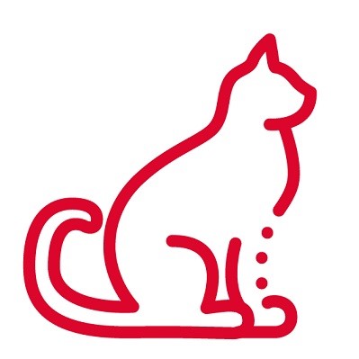 Emergency Vet Near You in Witham | Out of Hours Pet Care