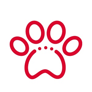 Emergency Vet Near You in Witham | Out of Hours Pet Care