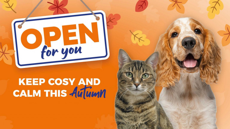 Vets Now | Trusted Out-Of-Hours Pet Emergency Care In The UK