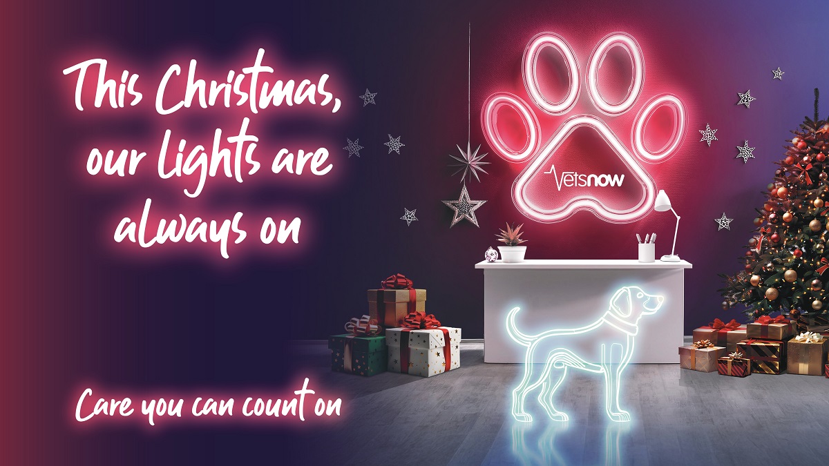 Vets Now | Trusted Out-Of-Hours Pet Emergency Care In The UK