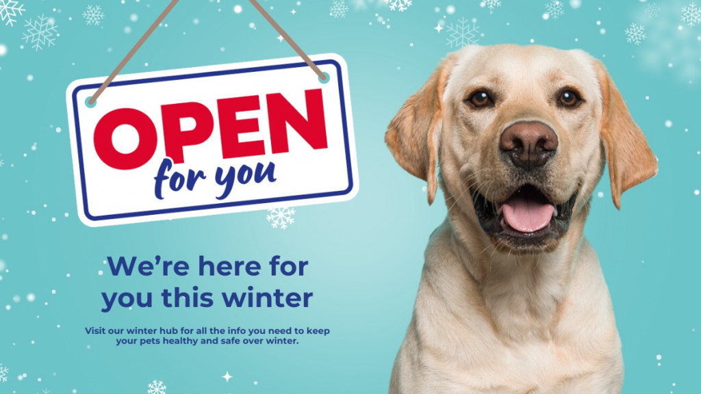 Vets Now | Trusted Out-Of-Hours Pet Emergency Care In The UK