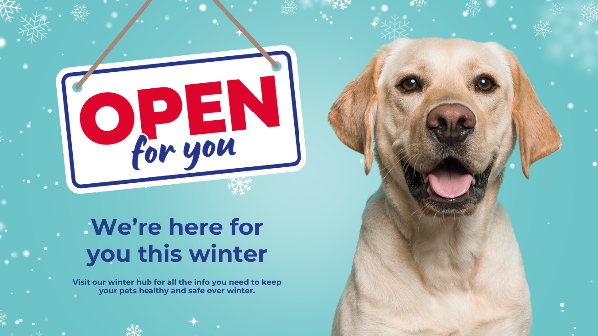 Vets Now | Trusted Out-Of-Hours Pet Emergency Care In The UK
