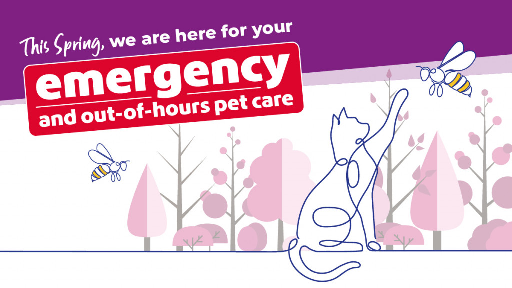 Vets Now | Trusted Out-Of-Hours Pet Emergency Care In The UK