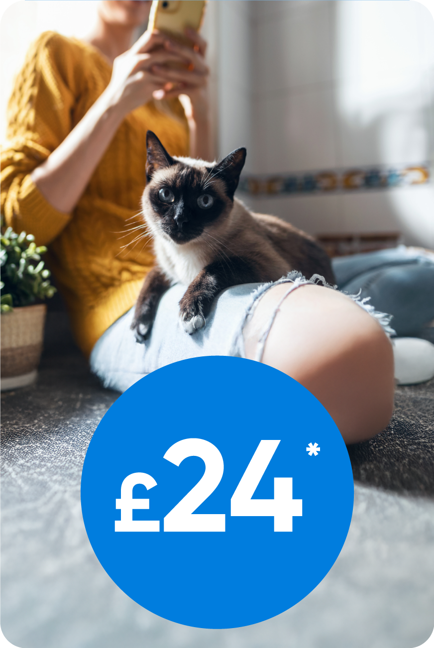 Emergency Vet Middlesbrough | Out Of Hours Pet Care