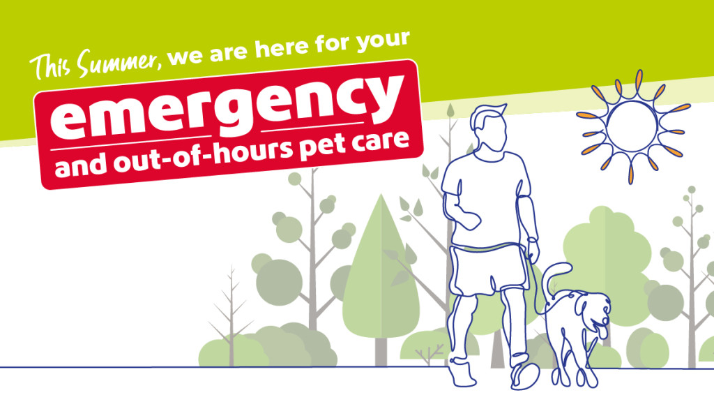 Vets Now | Trusted Out-Of-Hours Pet Emergency Care In The UK