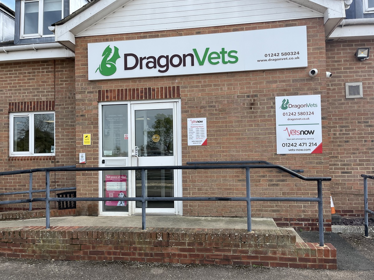 Vets Now Cheltenham | Pet Care At Night and Weekends
