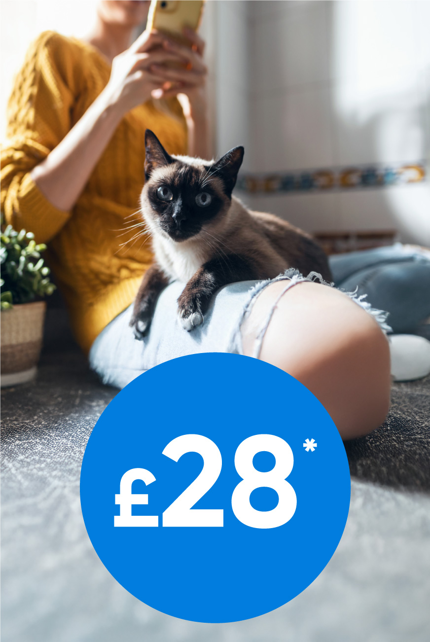 Emergency Vet Middlesbrough | Out Of Hours Pet Care