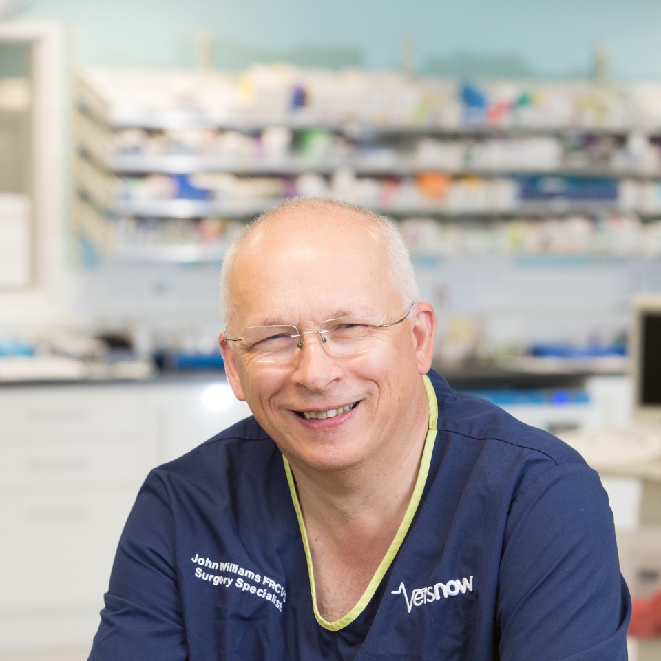 Meet The Team At Manchester's 24/7 Pet Emergency Hospital