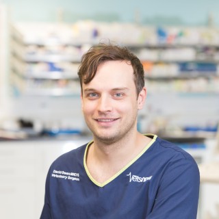 Meet The Team At Manchester's 24/7 Pet Emergency Hospital