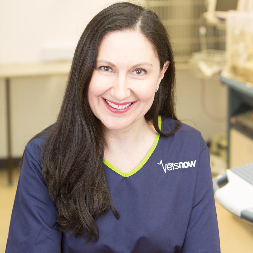 Heather Gayle - Vets Now Professionals