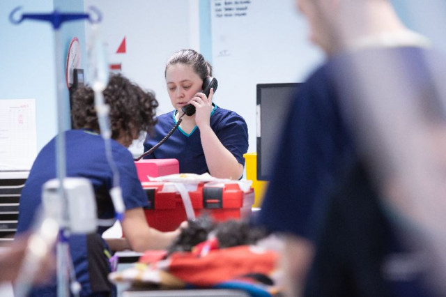 Out-of-hours Emergency, Specialist Referral & CPD | Vets Now