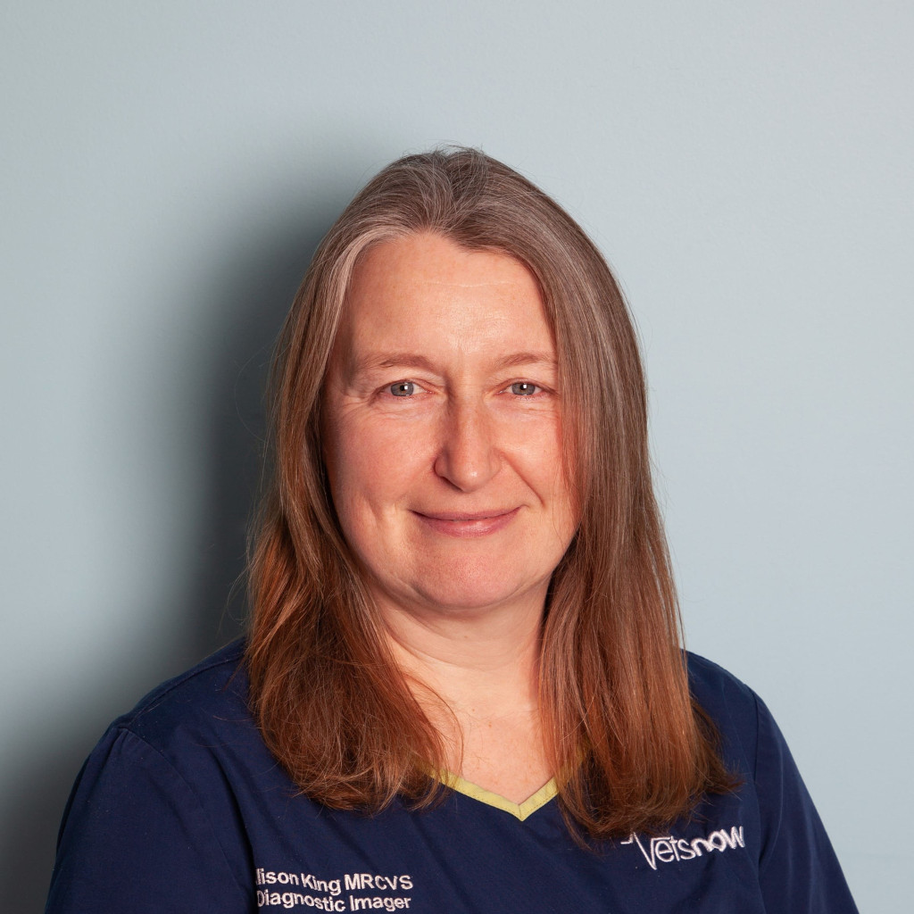 Meet The Team | 24/7 Pet Emergency Hospital Glasgow