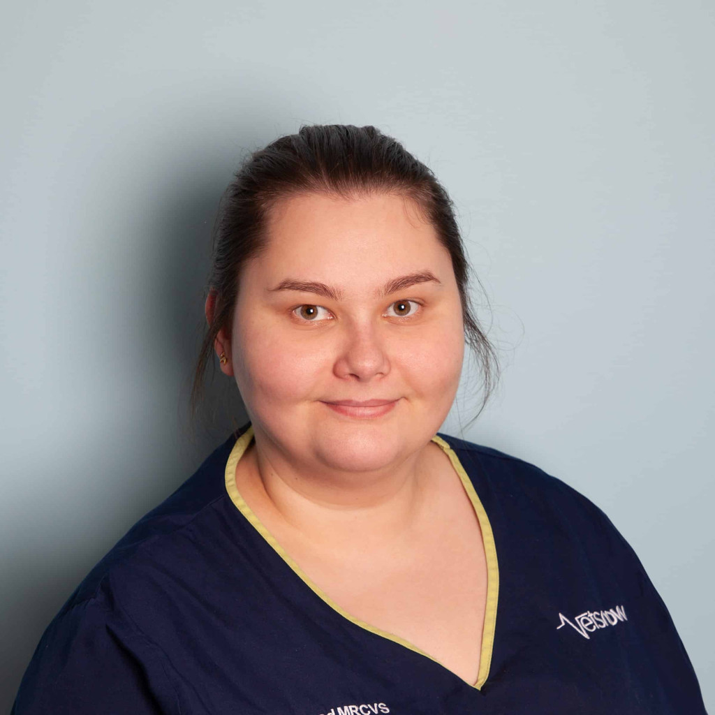 Meet The Team | 24/7 Pet Emergency Hospital Glasgow