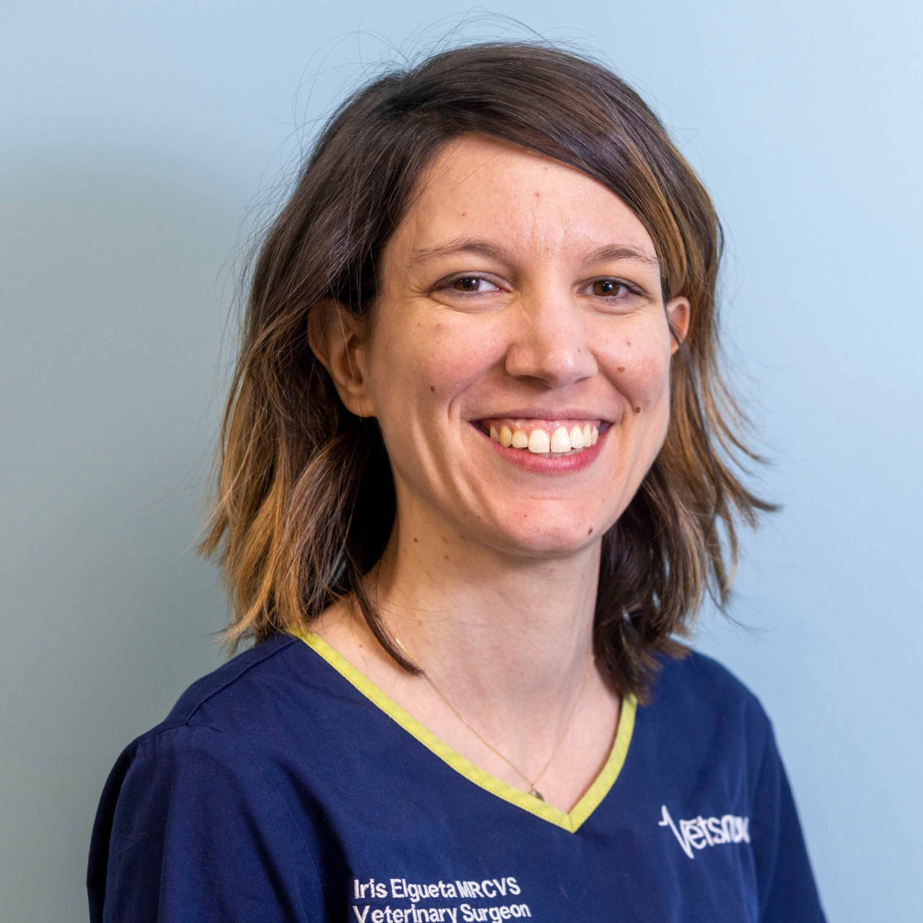 Meet The Team | 24/7 Pet Emergency Hospital Glasgow