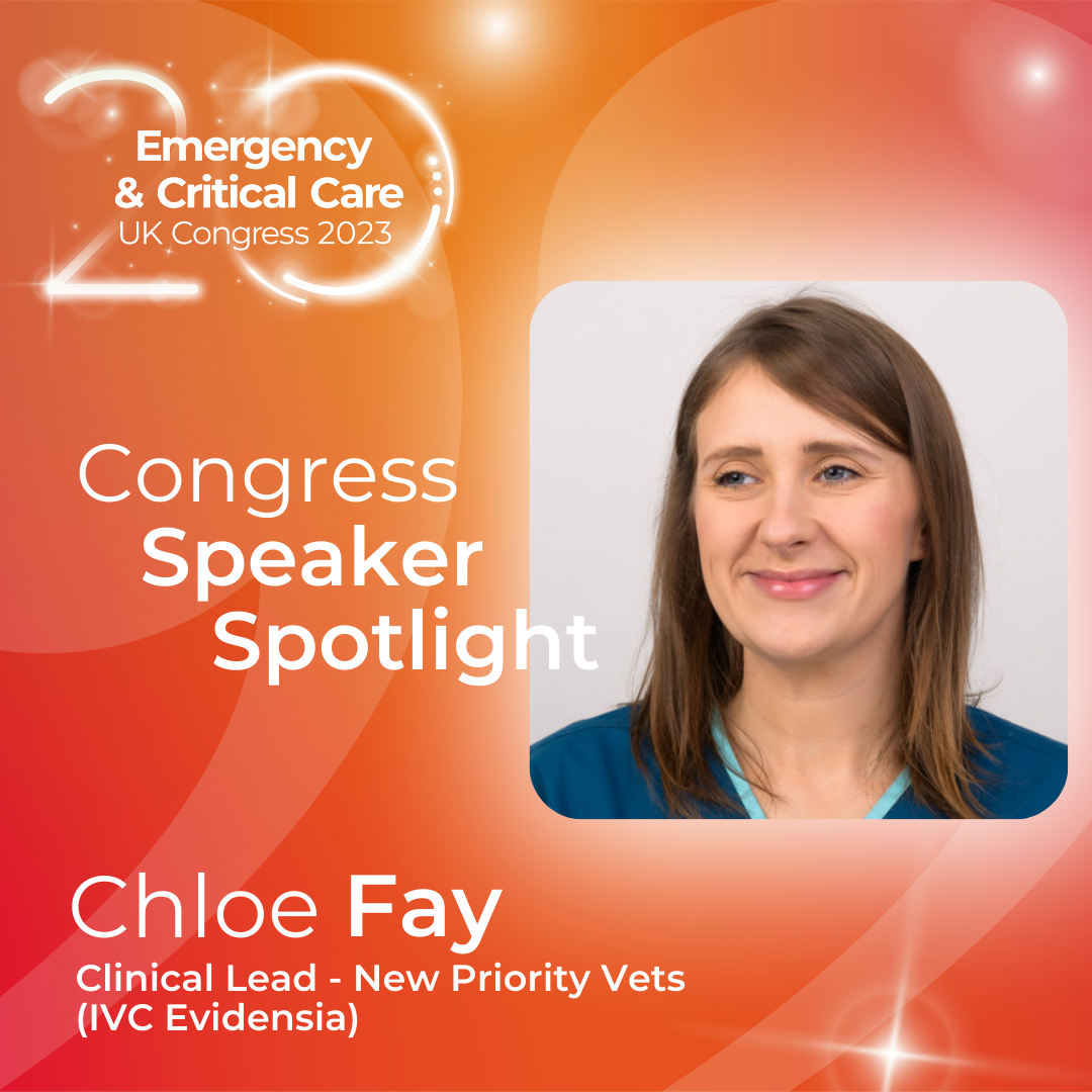 Speaker Spotlight: Chloe Fay gives exclusive insight into what to ...