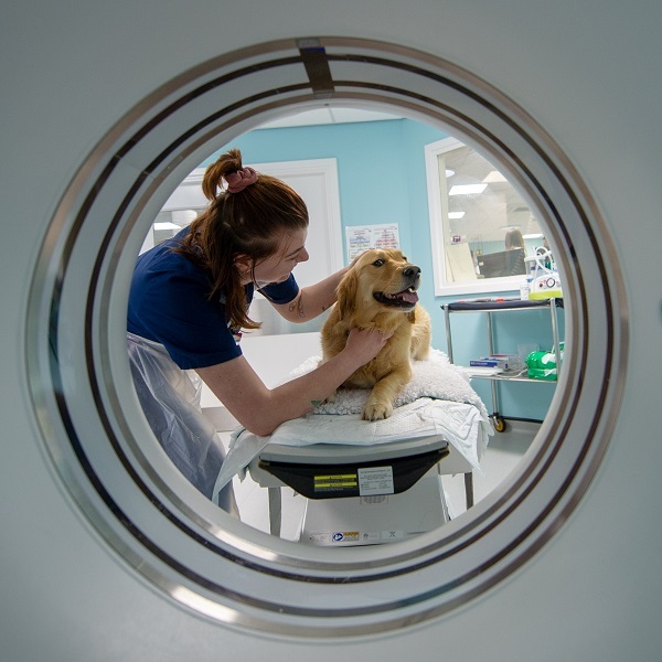 Manchester Hospital Referral Brochure - Vets Now Professionals