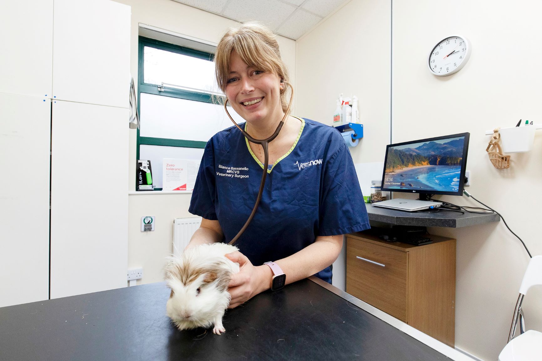 A day in the life of a South Wales emergency vet at Christmas - Vets Now Professionals