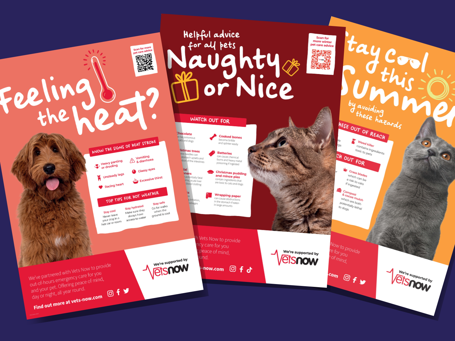 We Work In Partnership With Hundreds of Veterinary Clinics