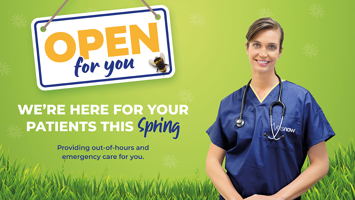 Our Spring Hub for Partner Practices | Vets Now Professionals