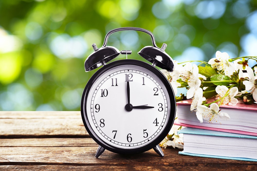 Our Spring Hub for Partner Practices | Vets Now Professionals