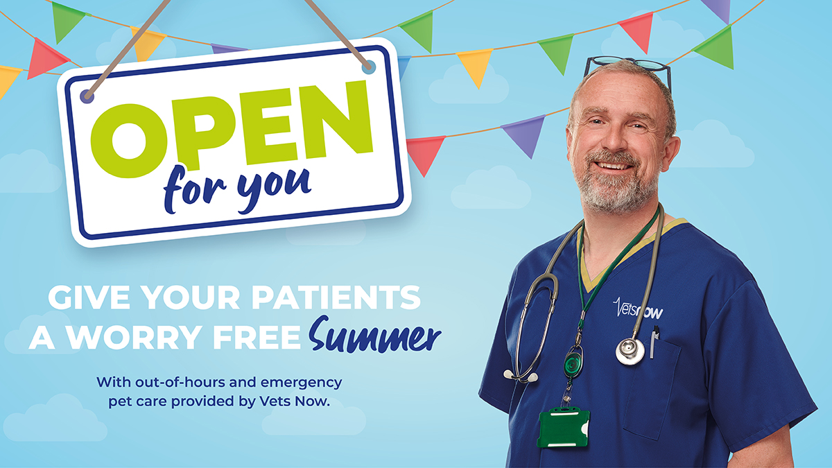 Our Summer Hub for Partner Practices | Vets Now Professionals