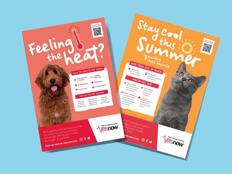 Our Summer Hub for Partner Practices | Vets Now Professionals