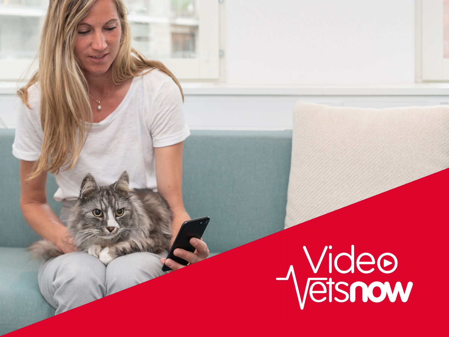 Springtime Dangers That Can Make Your Pet ill | Vets Now