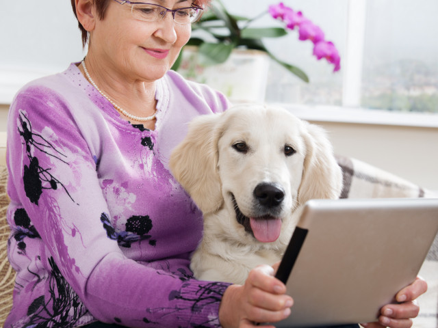 Springtime Dangers That Can Make Your Pet ill | Vets Now