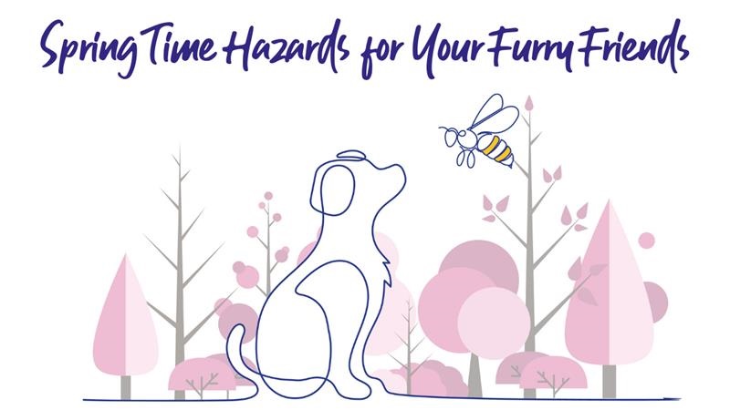 Spring Pet Hazards: Protect Your Dog or Cat