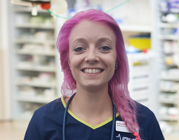 Sasha Burns Fraser on how AdvantEdge got her started in ECC - Vets Now Jobs