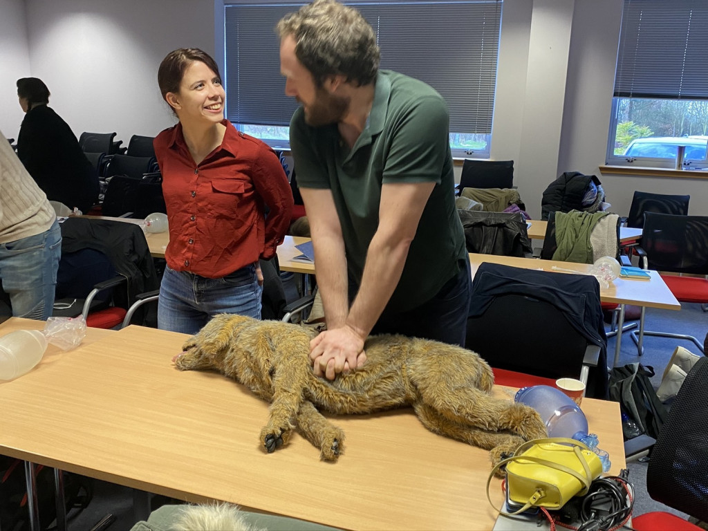 Vets Now staff trained as evidence-based CPR instructors