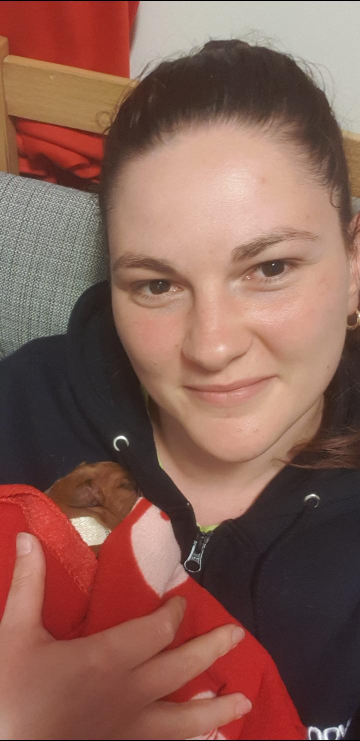 Nerc Bortas Aircraft Campaign Transit Flight And Pico