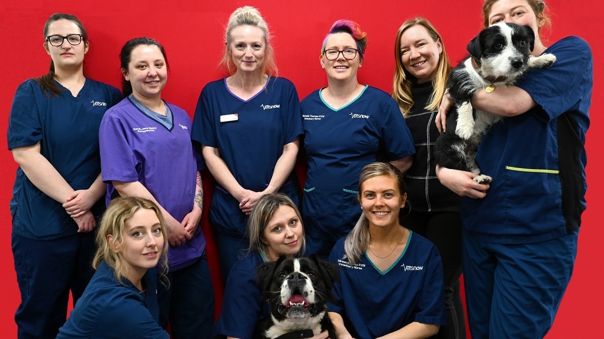 Want to work weekends? Read about Vets Now weekend contracts