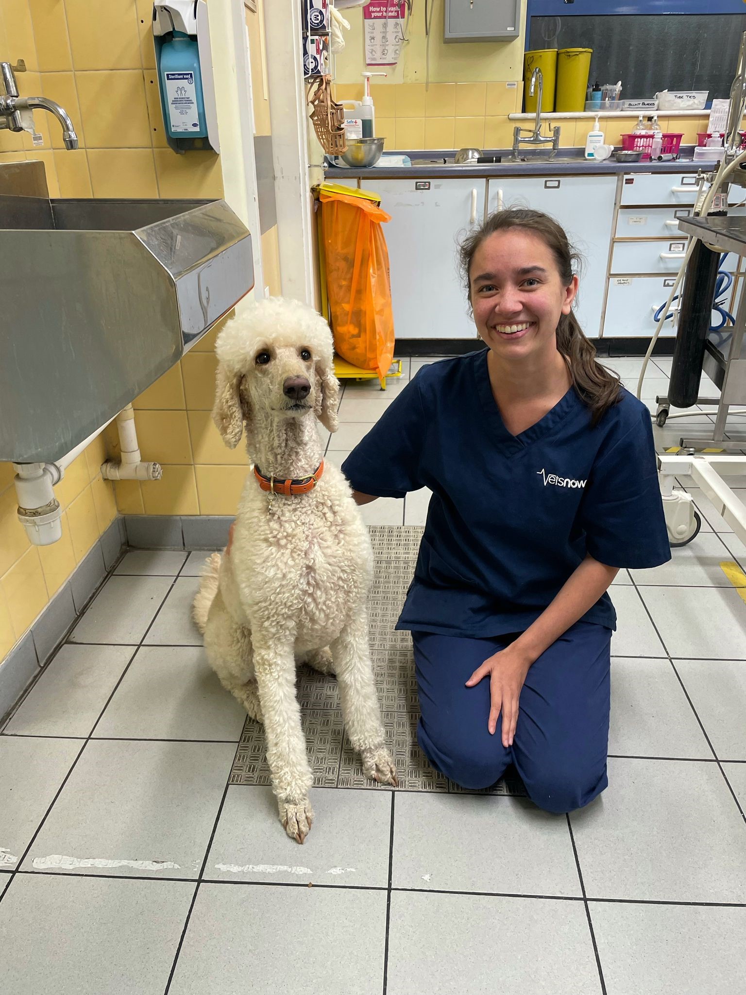 Abbie on how Edge helped her make the move to ECC - Vets Now Jobs