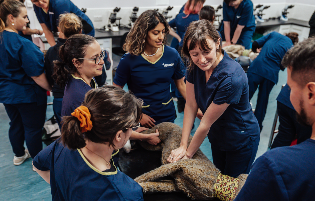 What is the Vets Now AdvantEdge programme? - Vets Now Jobs